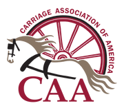 Drive Smartly - Drive Safely – CAA Bookstore