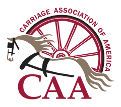 Drive Smartly - Drive Safely – CAA Bookstore