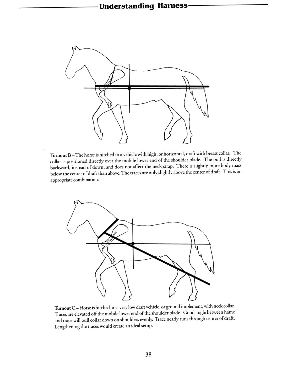 Understanding Harness – CAA Bookstore